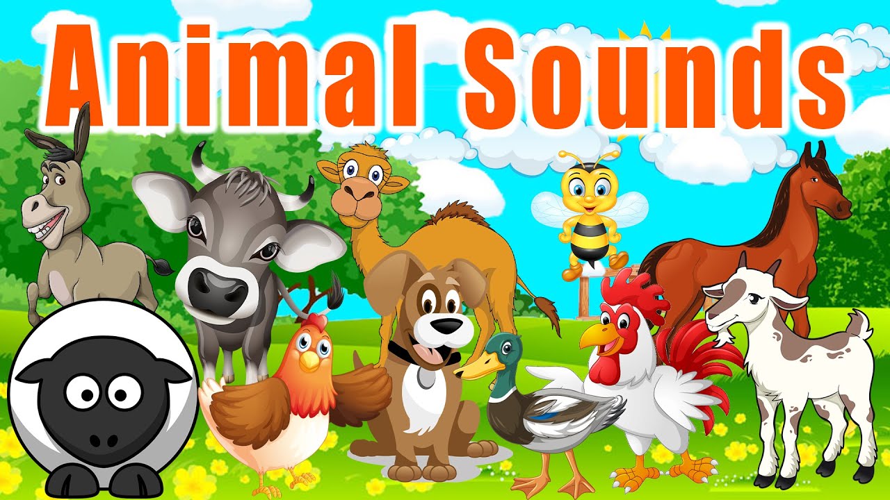 Animal Sounds Fun | Animal Sounds for Babies | LittleKidsTV - YouTube