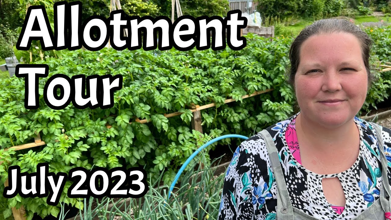 July 2023: Full Allotment Tour - Allotment Vegetable Garden (Manchester ...