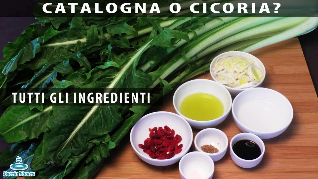 Catalogna Saltata alla Salsa di Soia - YouTube