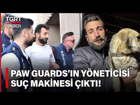 Milyonlarca Liralık Vurgun Yapan Paw Guards'ın Yöneticisi Erkin Erdoğdu Tutuklandı - TGRT Haber
