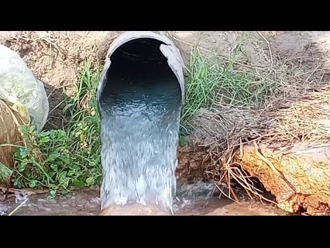 Tube Well Motor Fitting and Water Flow to the Field🏞️🏞️⛏️⛏️⚒️🛠️🔧🔨 - YouTube