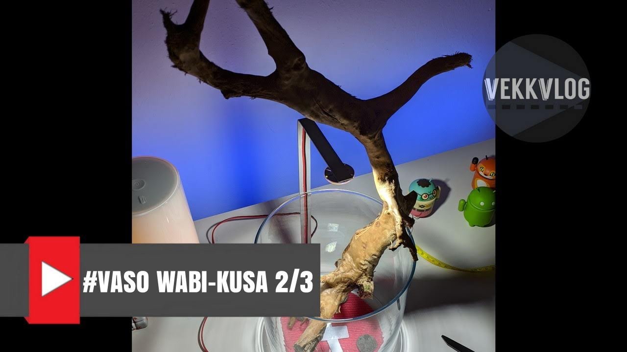 Vaso stile Wabi-Kusa fai da te - LUCE - Capitolo 2 di 3 - YouTube