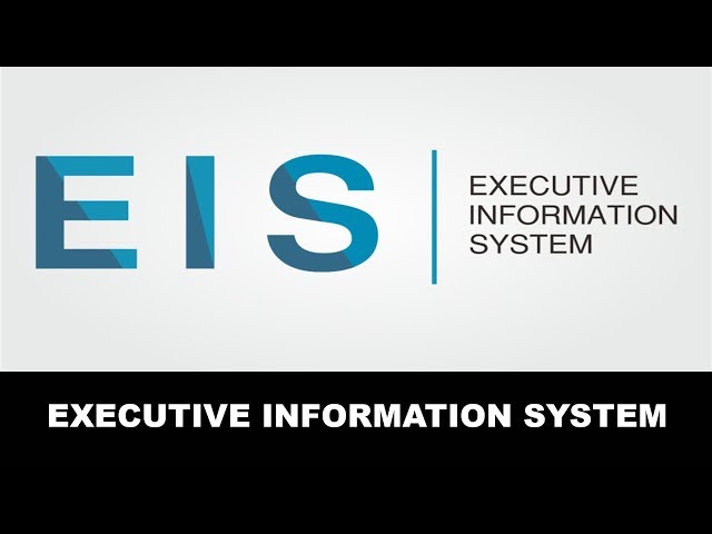 Executive Information System Executive Information System