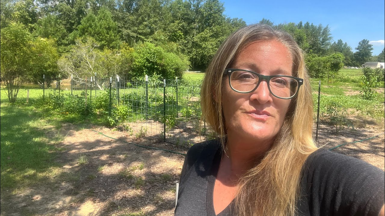 Starting a Farmstead/Homestead on ONE SMALL INCOME: this is how we did ...