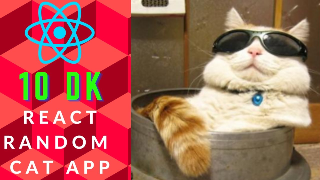 React ile Random Cat App #seviye1.1 - YouTube