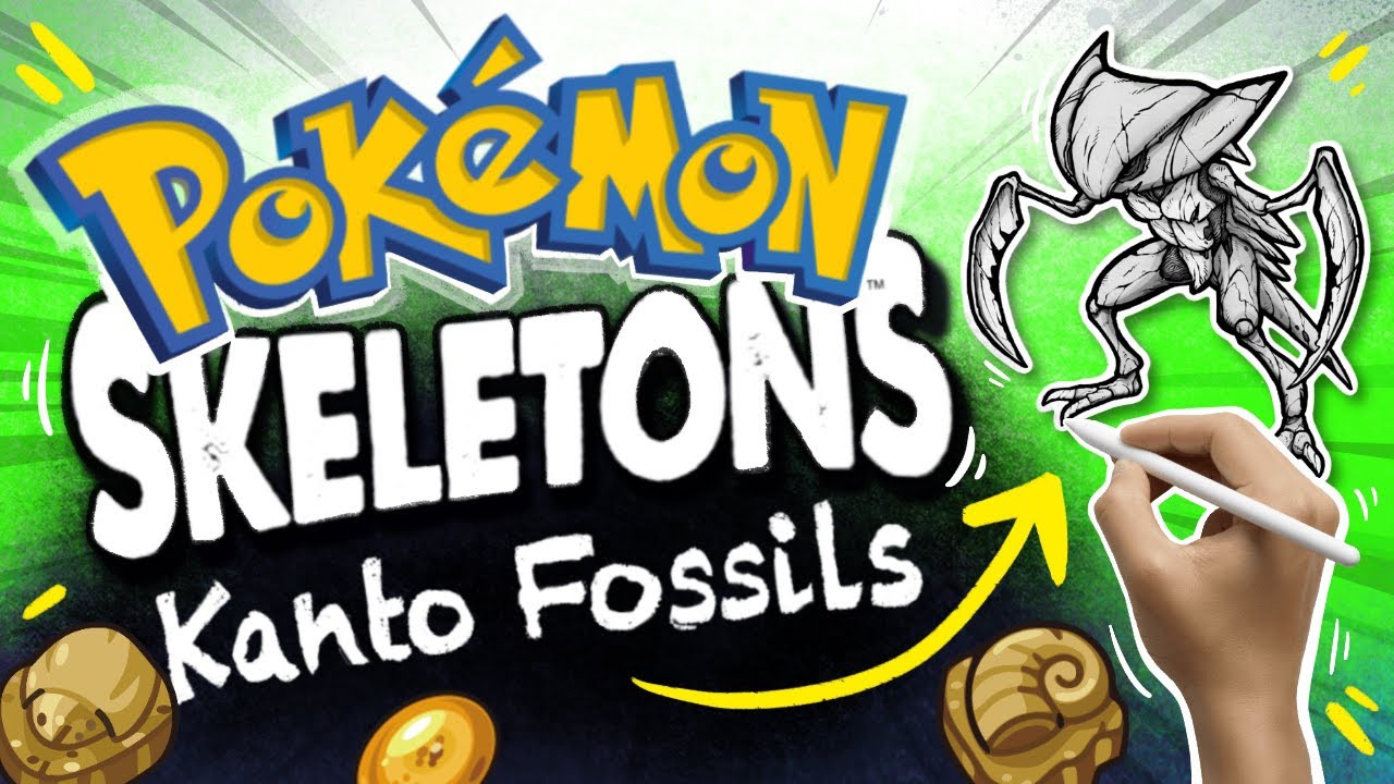 Pokemon Skeletons - All Kanto Fossils - Procreate Sketch Time Lapse ...