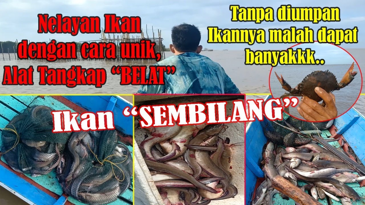 "BELAT" TEKNIK ALAT TANGKAP NELAYAN YANG UNIK_PETUALANGAN LAUT LEPAS ...