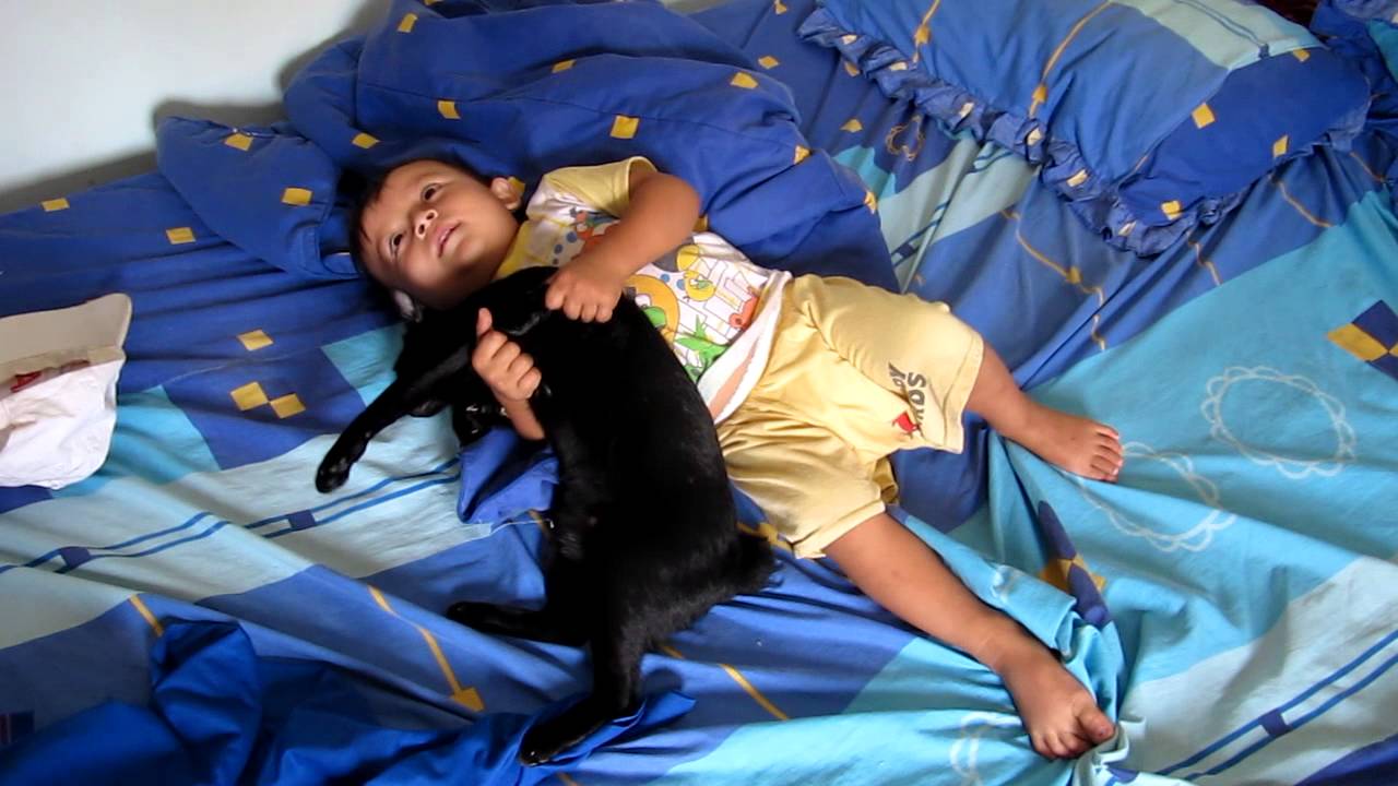 My son and cat watching "meow mix" by cyriak - YouTube
