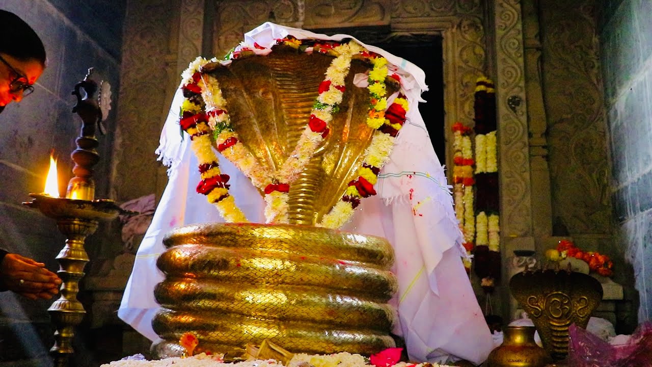 NAGOBA DARSHANAM - Nagoba Jatara | A Tribal Festival | Keslapur ...