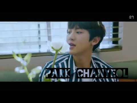 SPRING [CHANYEOL X ROSE]