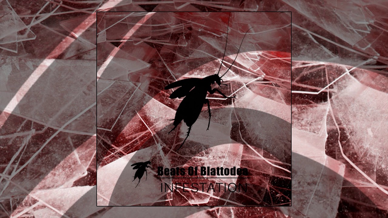 Operation Complete [2020] The Prodigy STYLE - YouTube