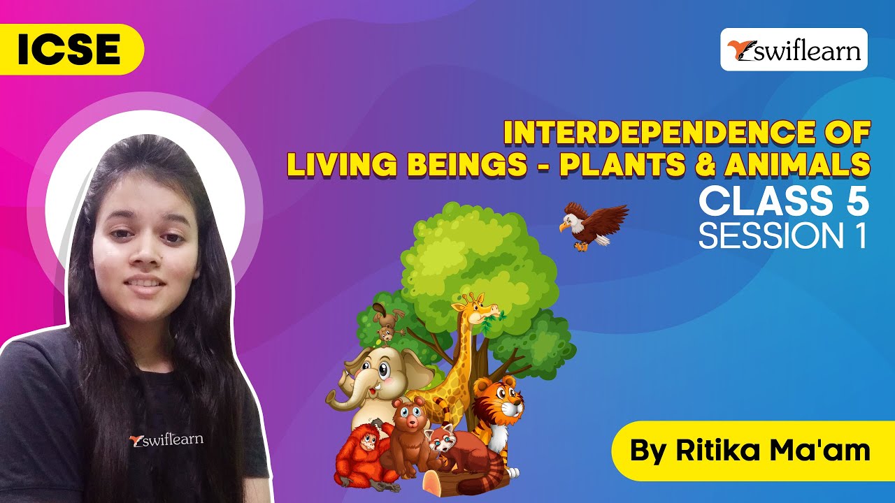 Interdependence Of Living Beings - Plants & Animals | ICSE Class 5 ...