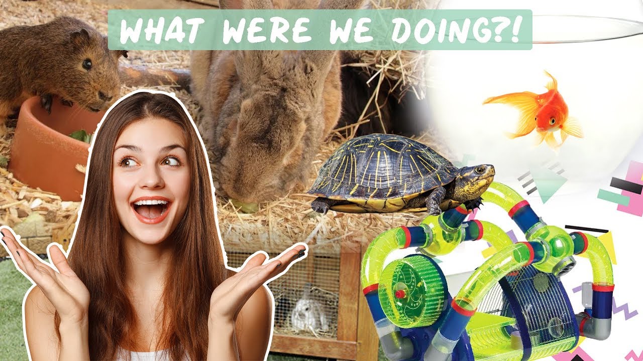 Reacting To 90s Pet Care WHY DID WE DO THIS YouTube reacting-to-90s-pet-care-why-did-we-do-this-youtube