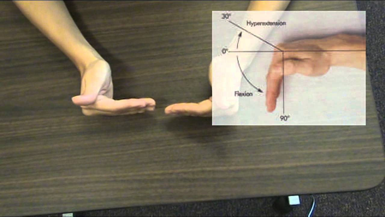 Musculoskeletal Exam - YouTube