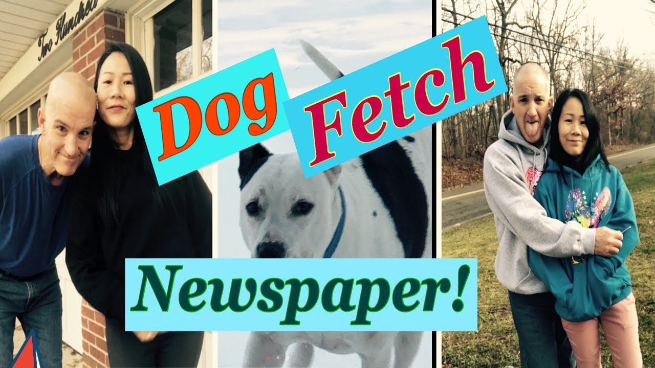 PITTIE FETCH NEWSPAPER & morning routine||HOME-COOKED PORK TERIYAKI ...
