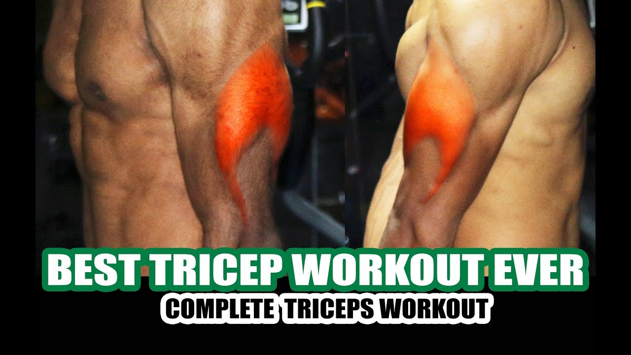 Triceps exercise for mass and cuts | Best triceps workout | Sjfitness ...