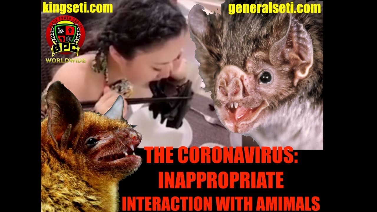 THE CORONAVIRUS: INAPPROPRIATE INTERACTION WITH ANIMALS #GeneralSeti # ...