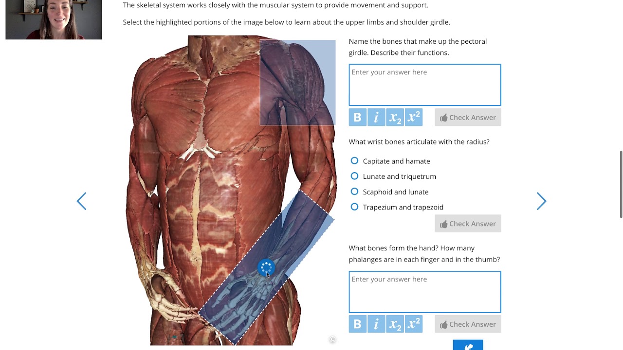 Lt | Anatomy | Skeletal System Model Lab walkthrough - YouTube