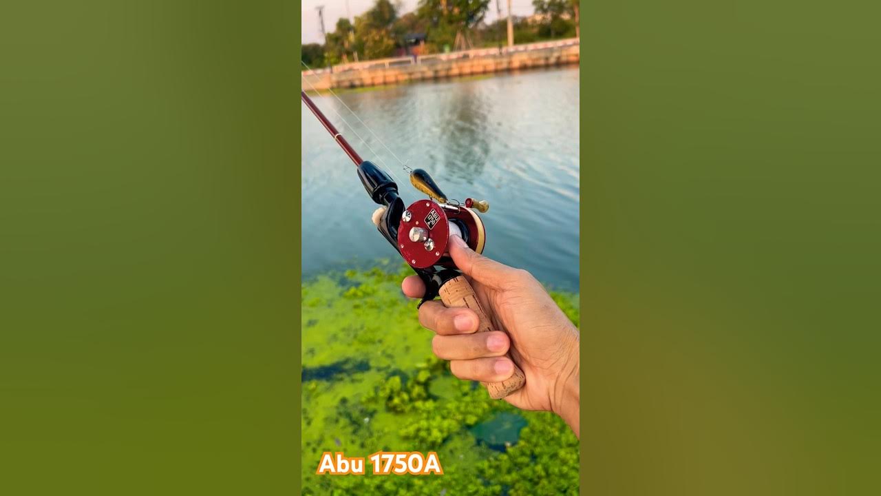 Abu1750A & Grip rod vintage + woody bell Lure - YouTube