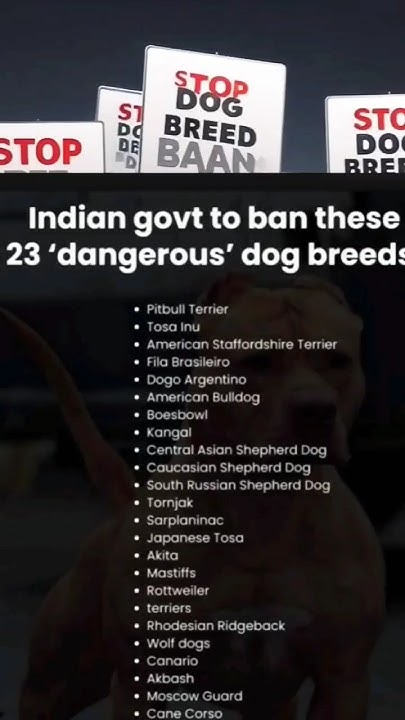 23 dog breed ban in india || - YouTube