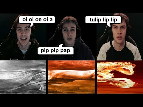 Oi oi oi a aye aye Guy Meme vs Pap pip pip pap vs Tulip lip lip