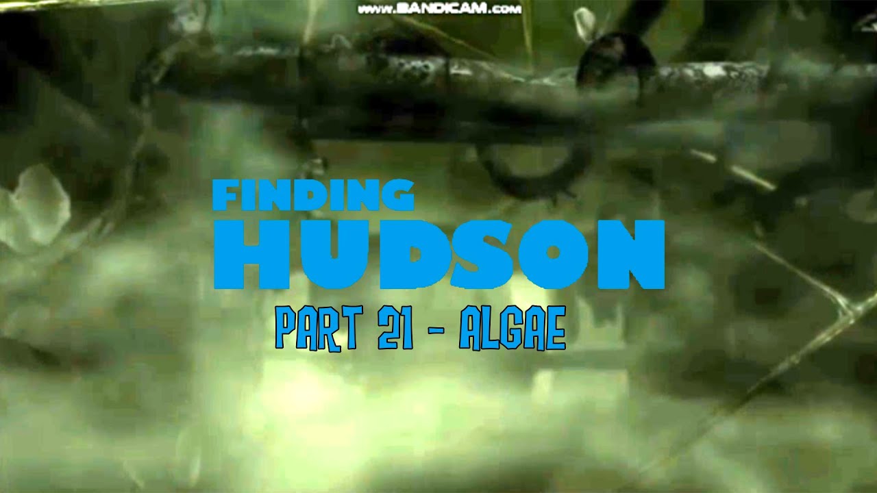 "Finding Hudson" Part 21 - Algae - YouTube