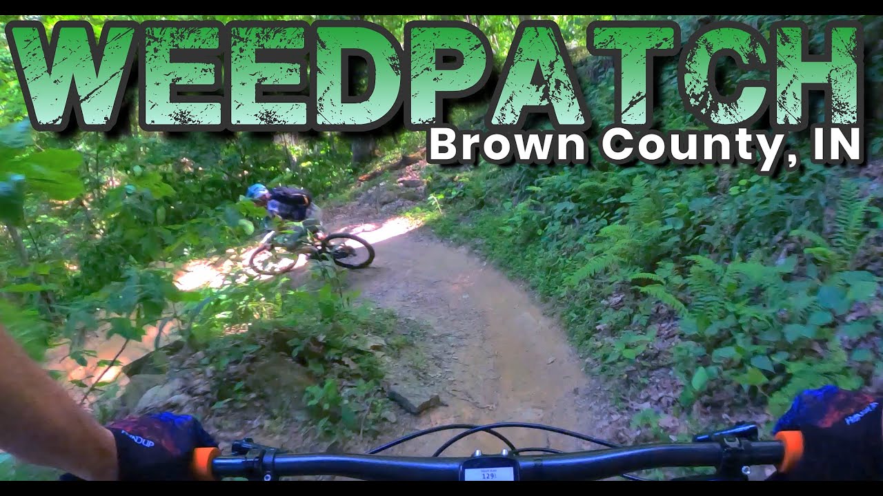 Mountain Biking Weedpatch Trail, Brown County, IN - YouTube