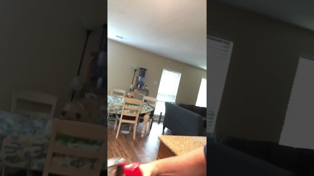 Talking Refrigerator - YouTube