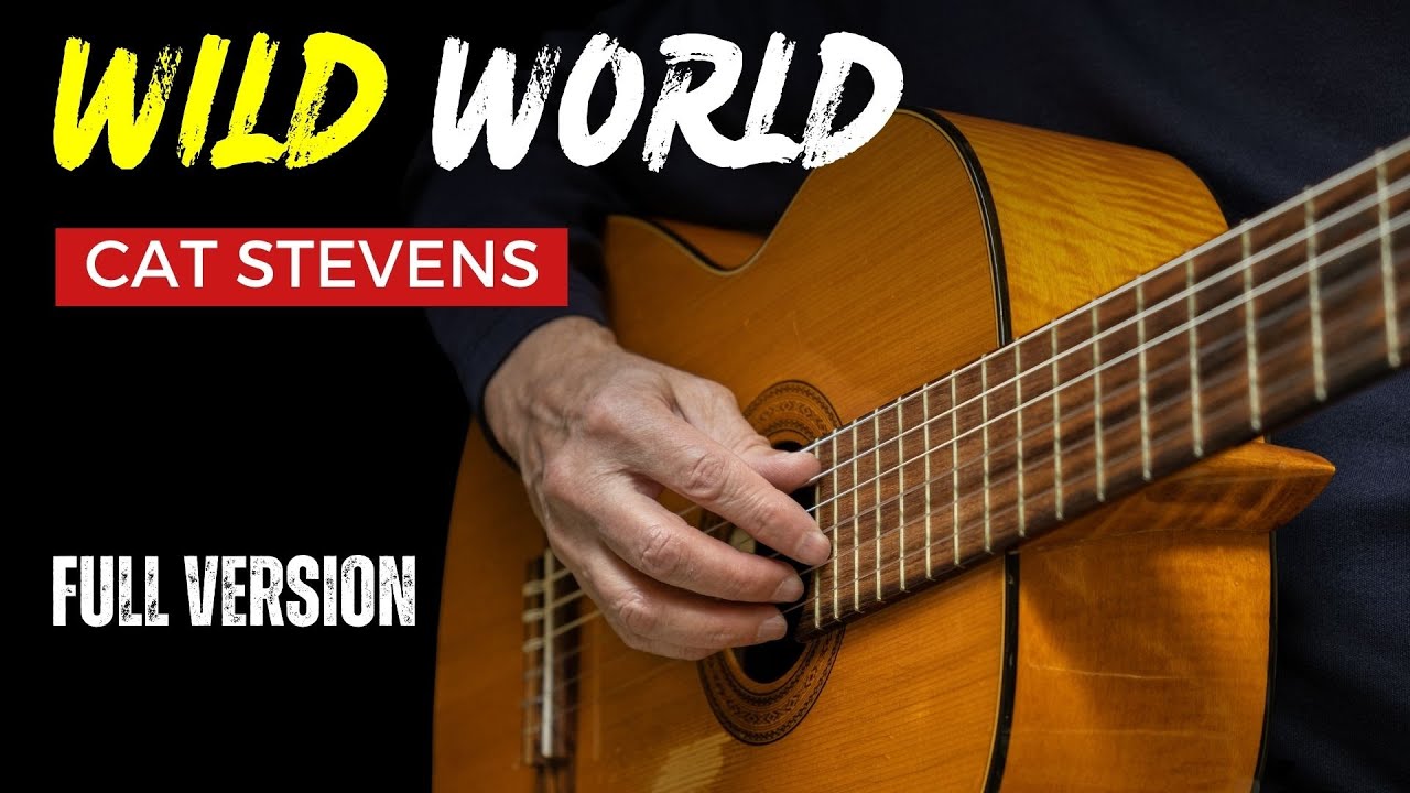 Wild World ~ Cat Stevens | EASY Fingerstyle Guitar Lessons TAB - YouTube