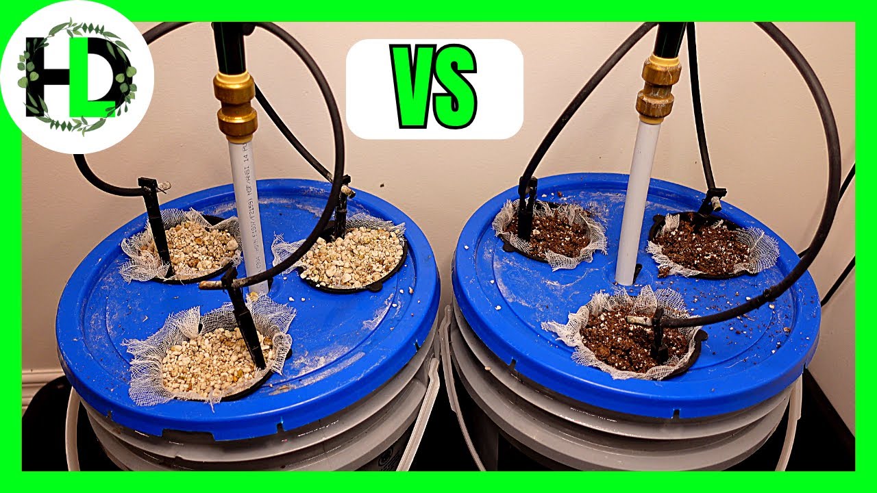 Coco Coir vs. Perlite: Which Growing Media is Best for Hydroponics ...