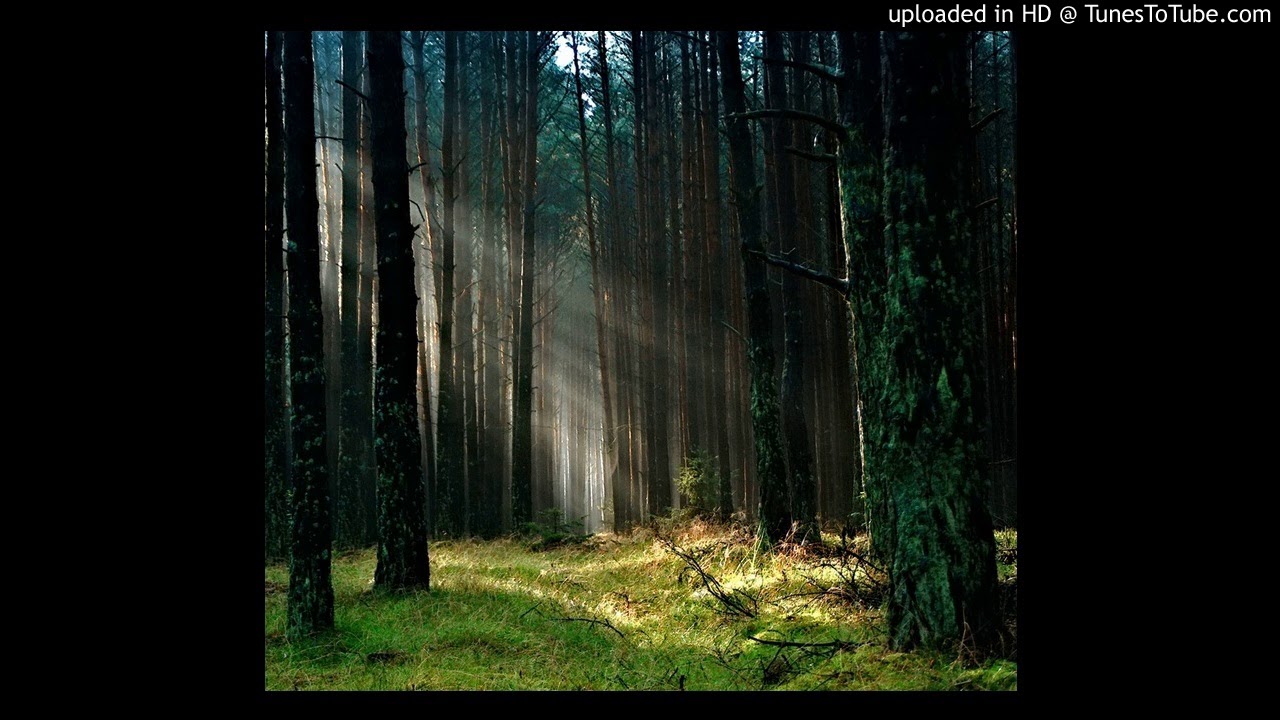 Atshen - Timeless (demo) - YouTube