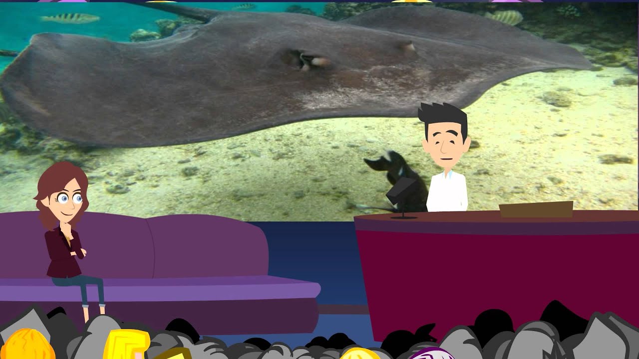 Fun Facts About Sea Life And Marine Animals YouTube fun-facts-about-sea-life-and-marine-animals-youtube