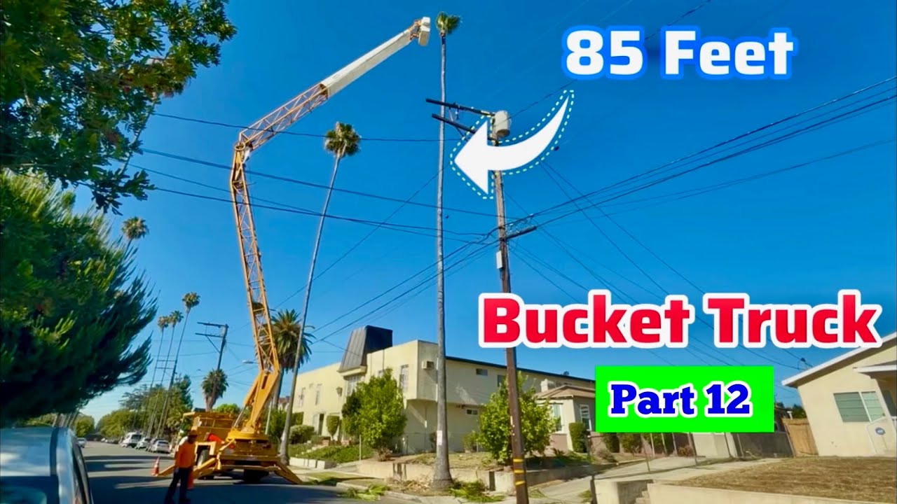 BUCKET TRUCK in Action (Part 12) ~ Trimming 85 Feet Tall Palm Tree ...