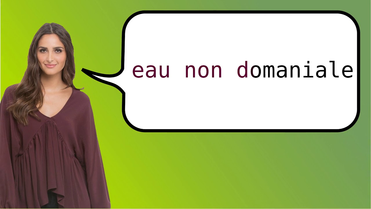 How To Say non demesnial Water In French YouTube how-to-say-non-demesnial-water-in-french-youtube