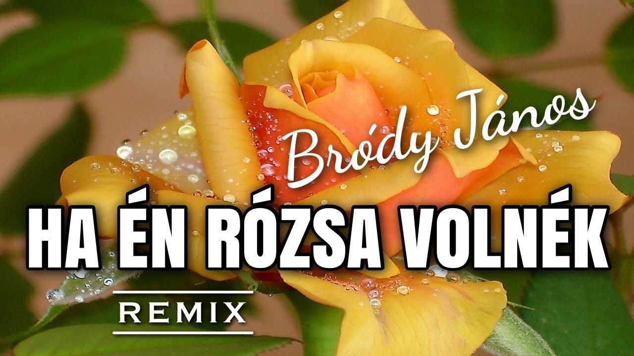 Ha én rózsa volnék (Bródy János) - Remix 2024 - (New Generation Cover ...