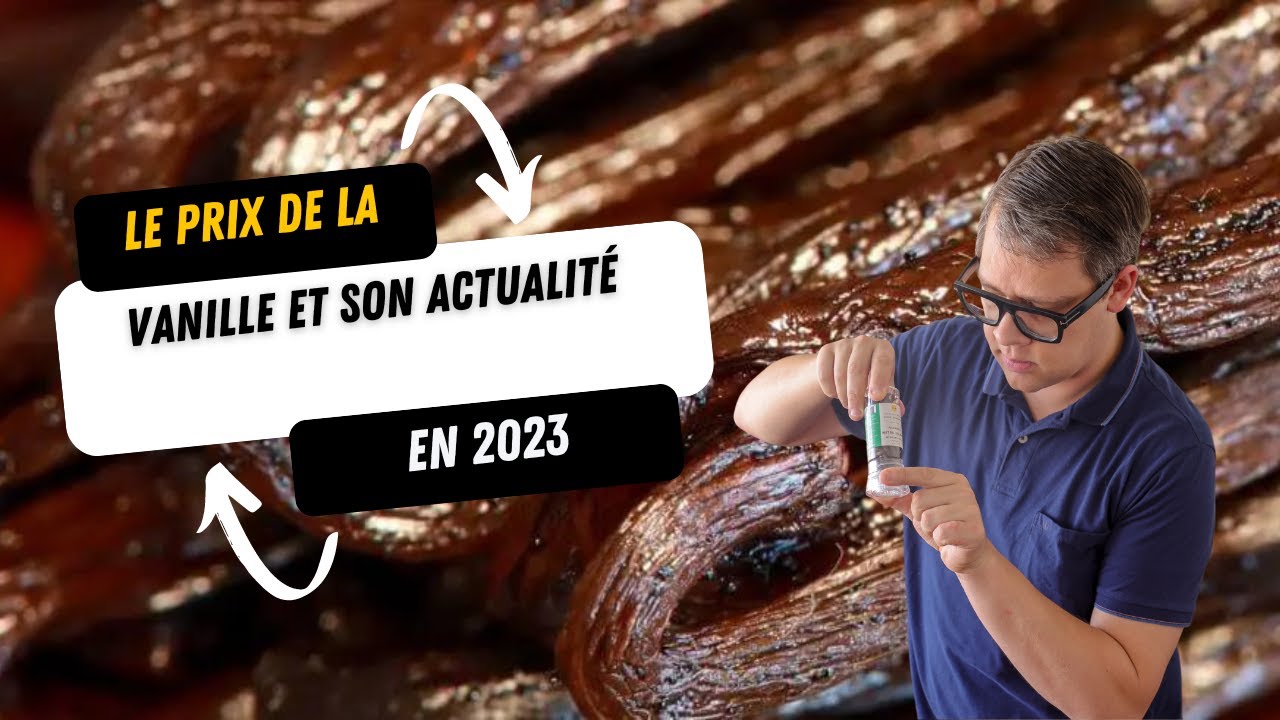Le prix de la gousse de vanille bourbon de Madagascar 2023 - Le ...