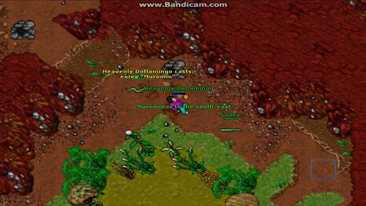 Tibia Garnera PK ~ dropando 2 KNIGHT LEGS ~ - YouTube