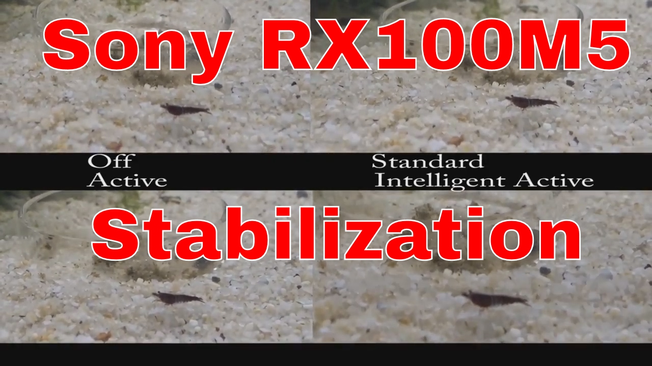 Sony RX100M5 Stabilization Demo of OFF, Standard, Active & Intelligent ...