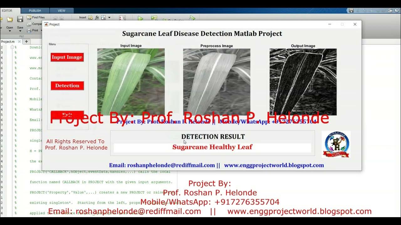 Sugarcane Leaf Disease Detection Using Image Processing Matlab Code Plant Leaf Disease ...