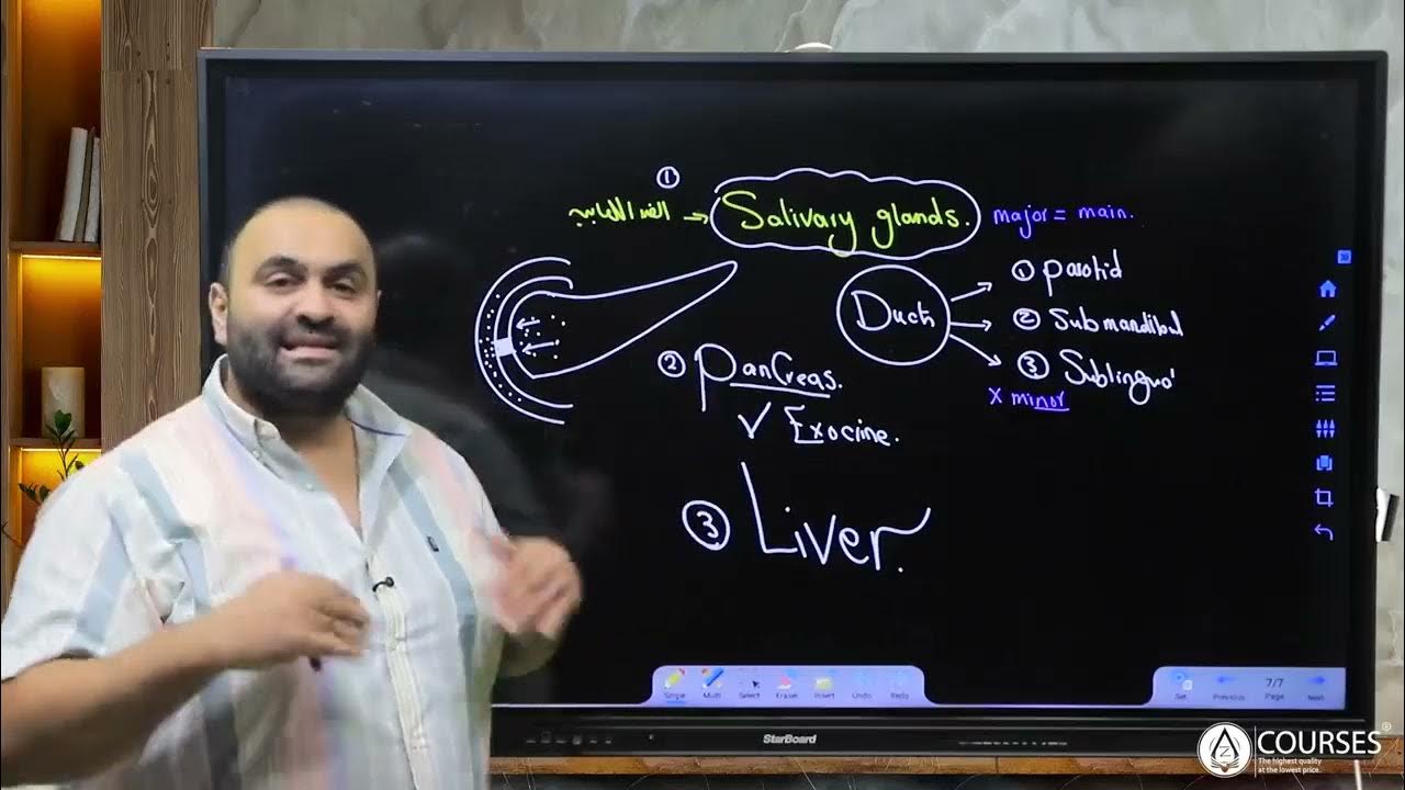 lecture 1 part 1 histology GIT oral cavity - YouTube