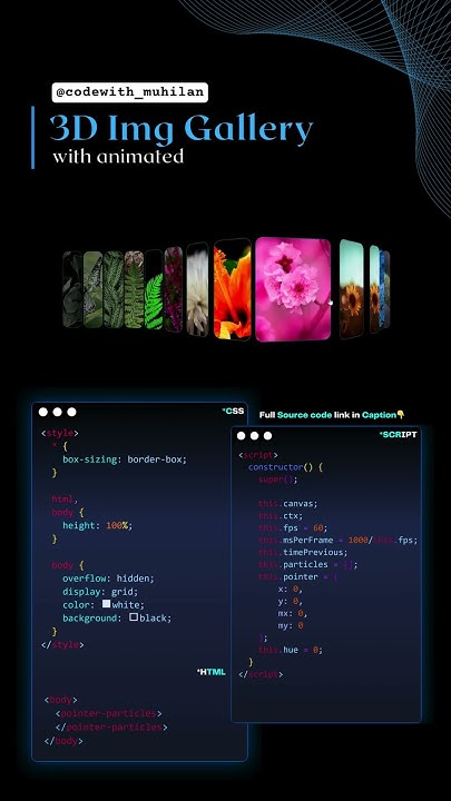 3d Image Gallery Codewith Muhilan Css Coding Youtube