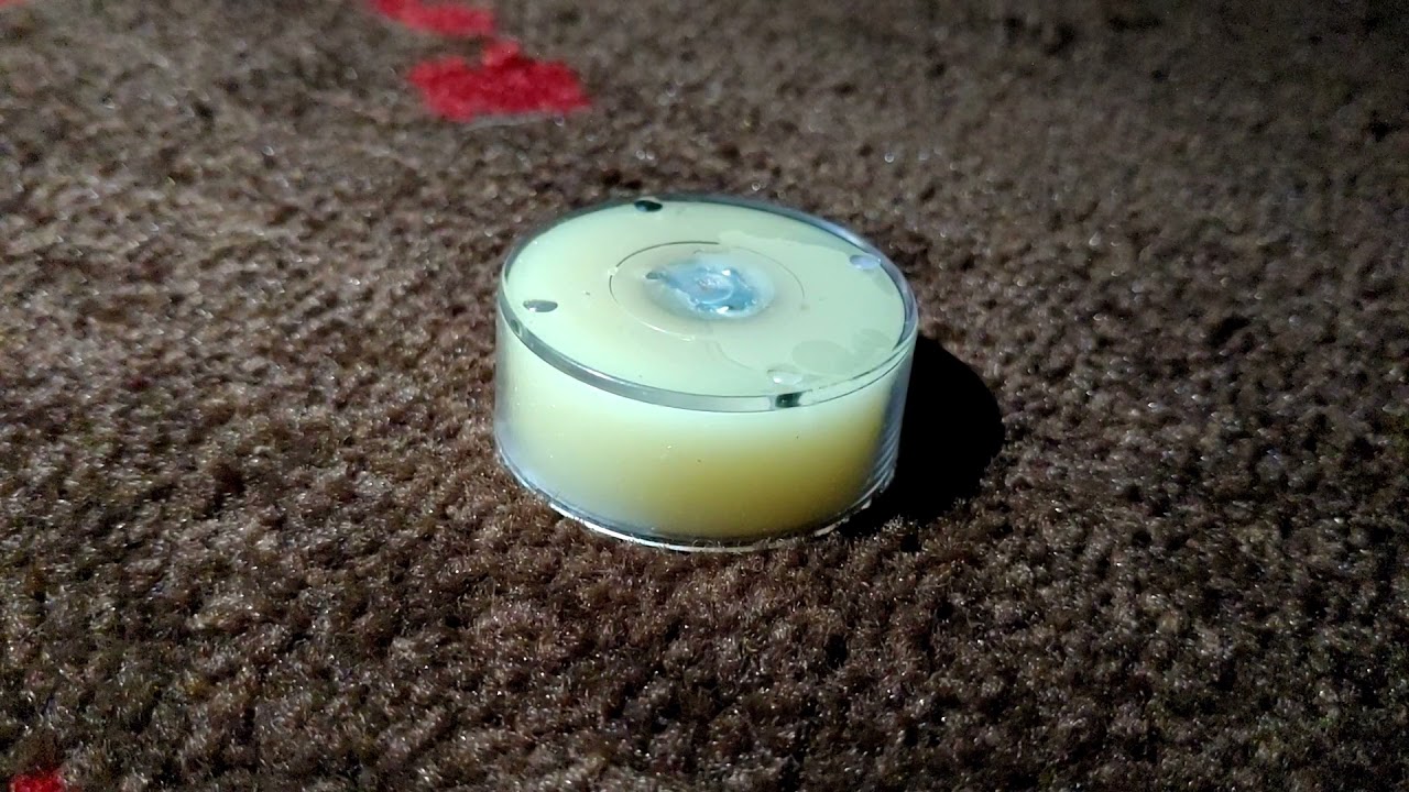 Candlelit - Adam Hinchliffe | Algonquin College Film & Media Production ...