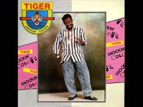 Tiger - Fame Grabber (1989 - King Jammy) - YouTube