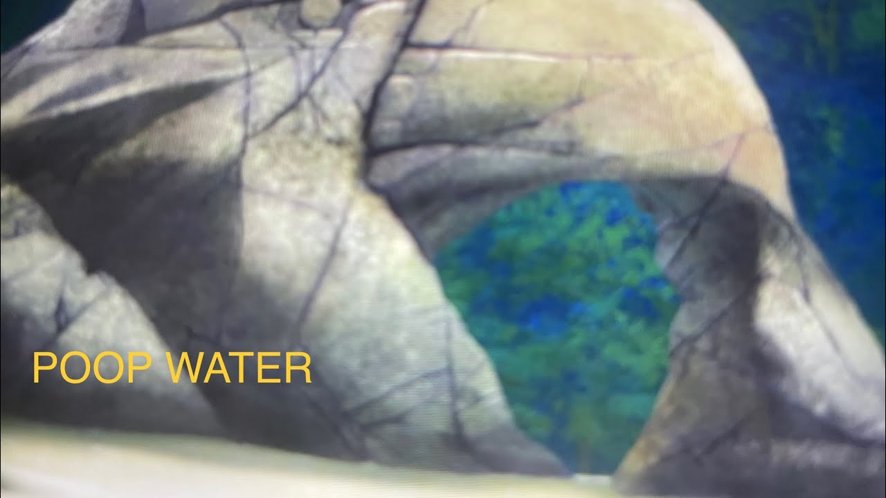 POOP WATER - YouTube