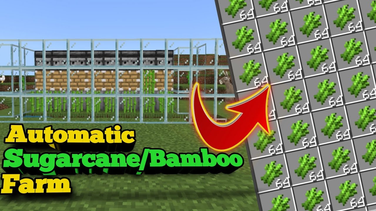 How to make Automatic Sugarcane/Bamboo Farm in Minecraft Bedrock 1.19 ...