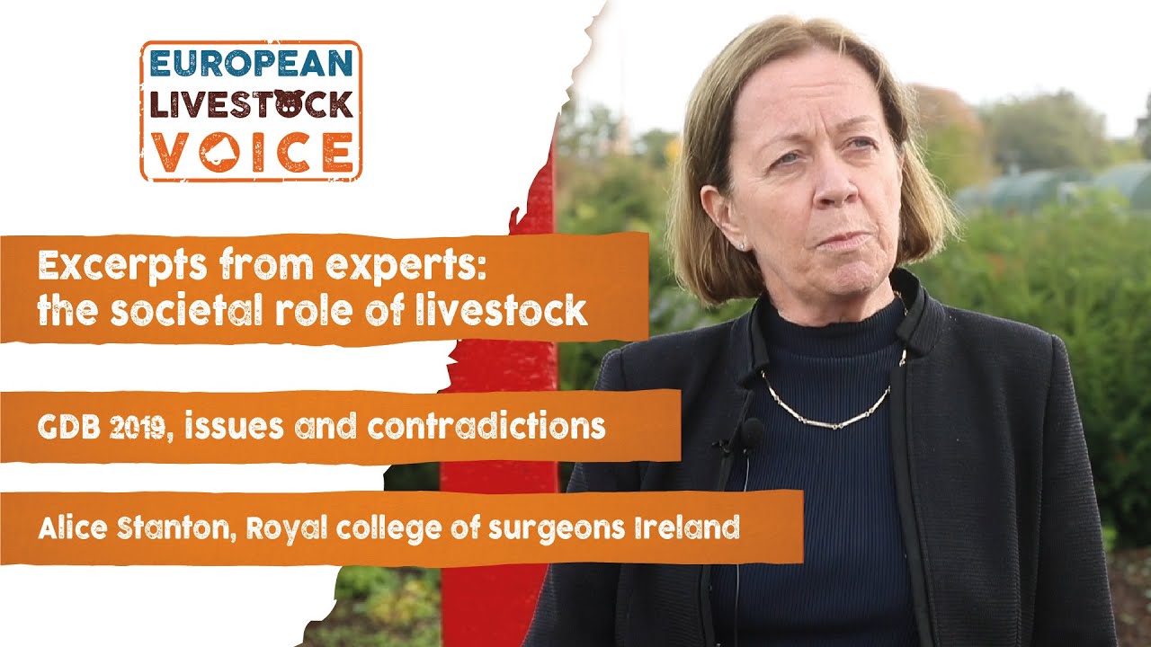 Alice Stanton - The GDB 2019: issues and contradictions identified by ...