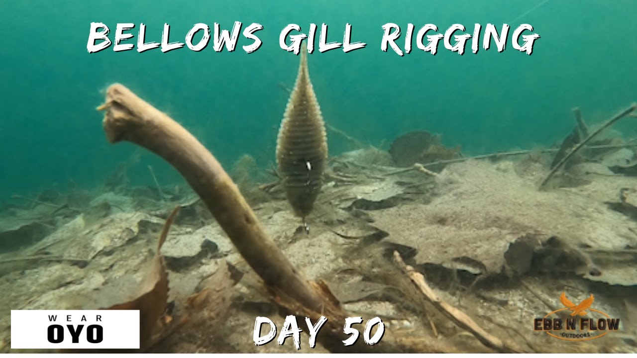 GEECRACK BELLOWS GILL: 3 WAYS to Rig It & UNDERWATER TRUTH! - YouTube