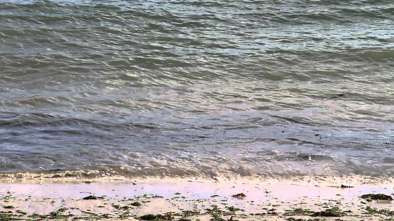 Sea sounds Small Waves - YouTube