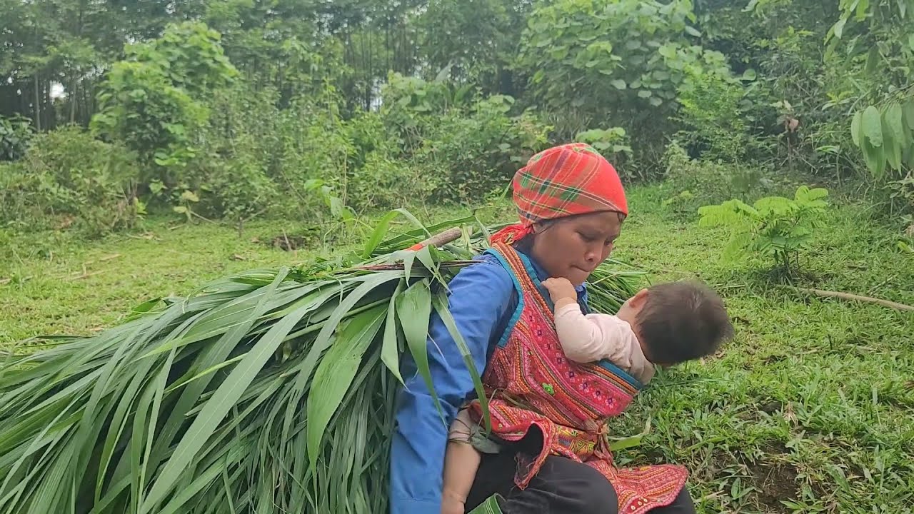 Fullvideo 14 days single mother makes a living, Single mom. - YouTube