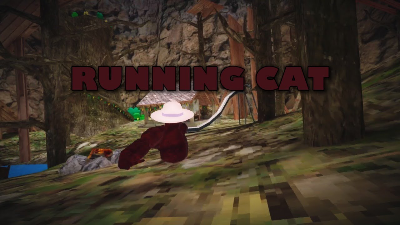 running intor cat!!!!!!!!!!!@Po_Gtag @DaRealMistyOfficial ...